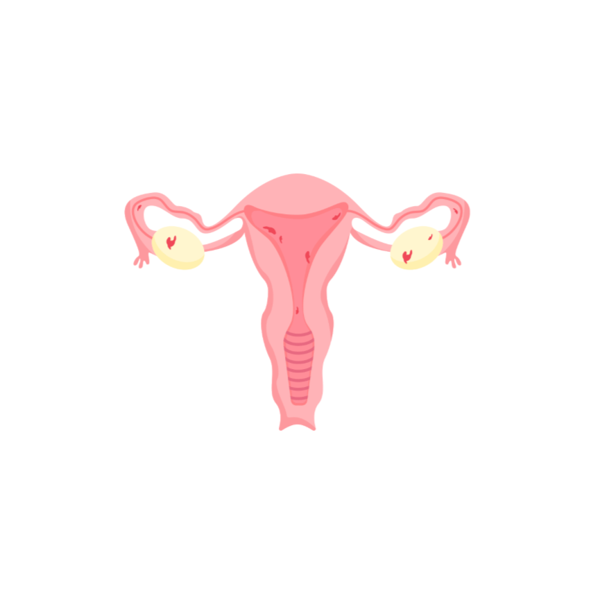 Endometriosis/ Rhein/ Emodin – Panaxea International AU